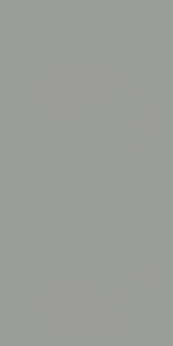 Decorative Solid Colour Laminate - 21341 – Next Level Decor Chennai