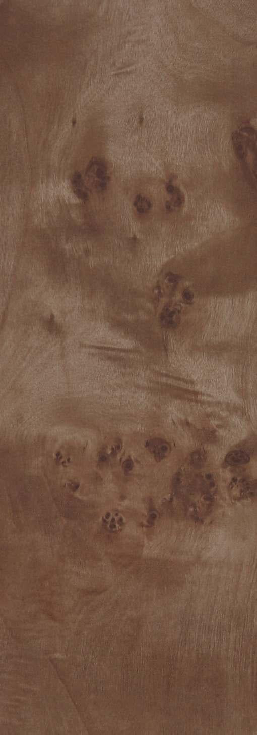 Oliviya 800 Premium Wooden High Gloss Beach Burl Wood Laminate 8x4 ft ...
