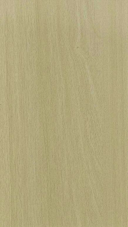 Best Laminates 3666 SS Cream Wood Sheet | Next Level Decor – Next Level ...