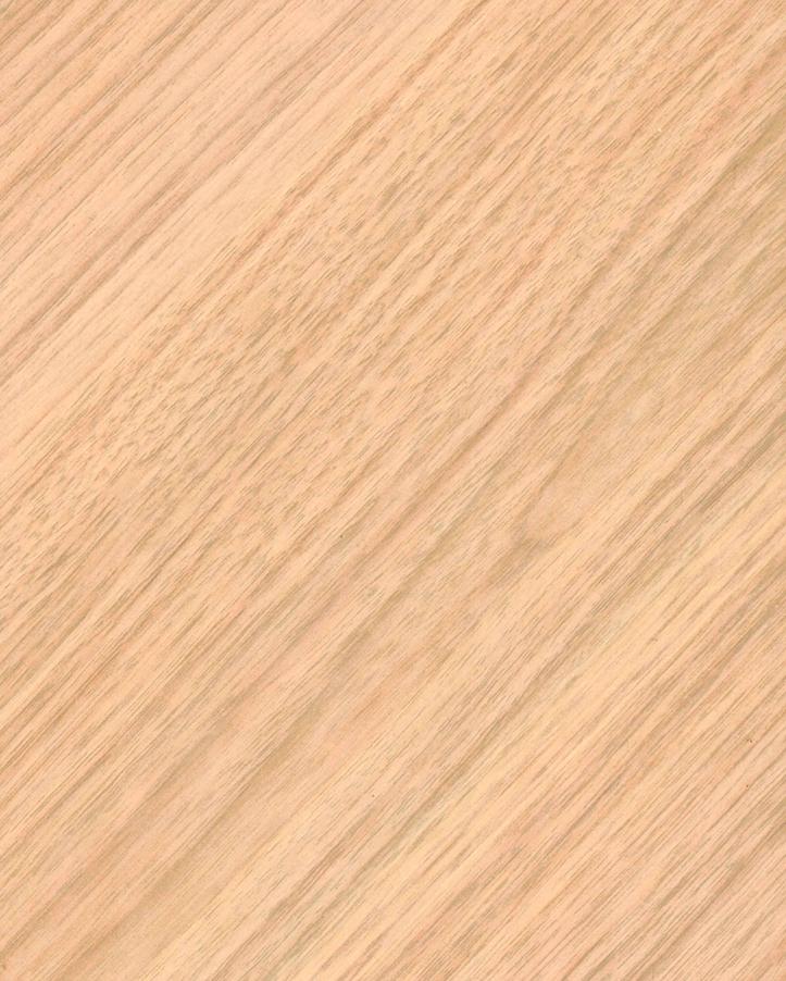 Grand Chevron Light Wood Laminate 8x4 ft Texture 0.8 mm - 6479 EG ...