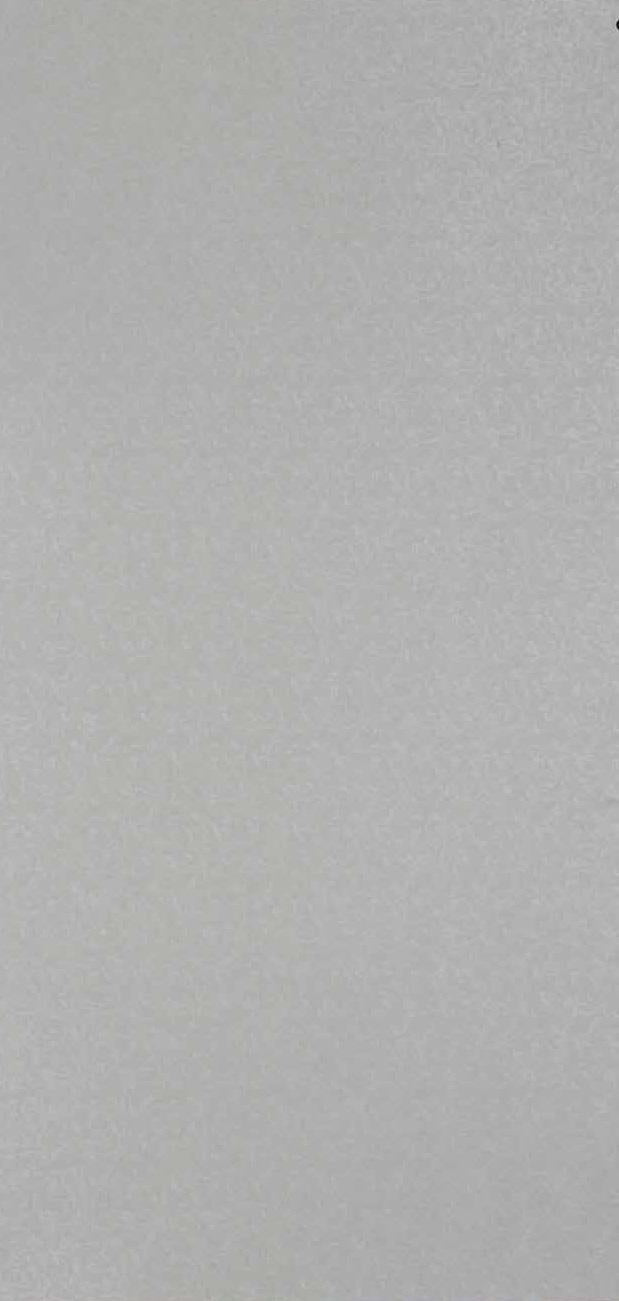 Cream Shimmer Plain Laminate 8x4 ft Texture 1 mm - 961 LO – Next Level ...