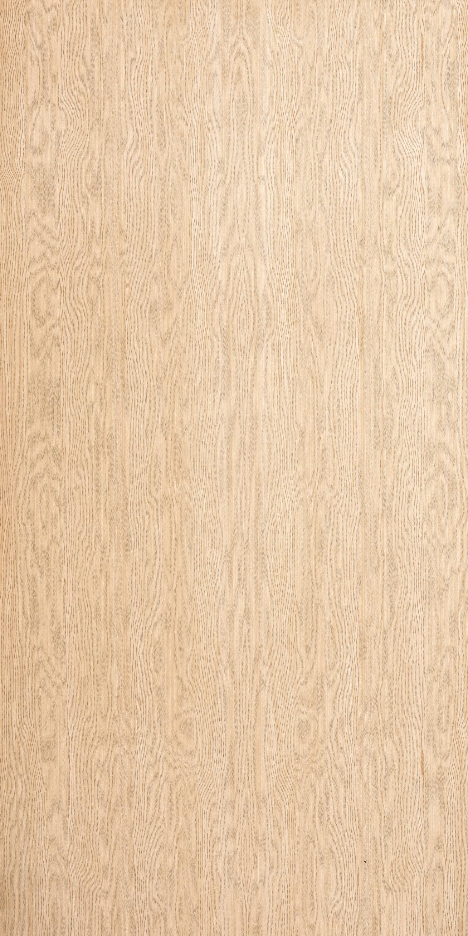 Atlantic Ash Ivory Wood Veneer 8x4 ft | Next Level Decor – Next Level ...